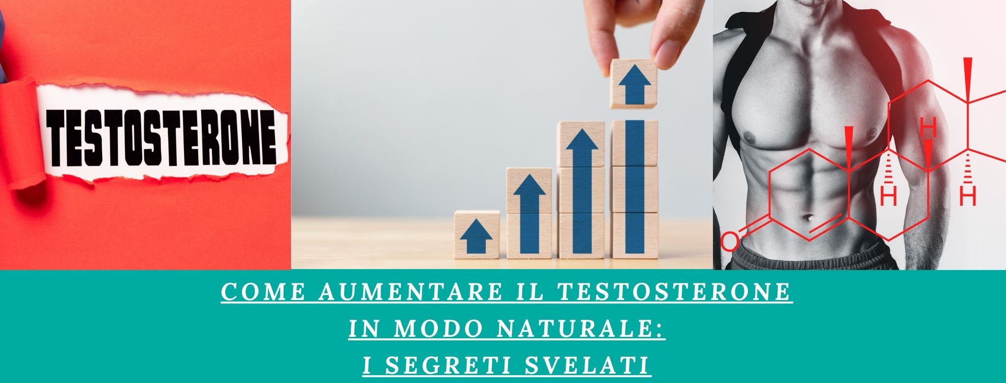 Come Aumentare Il Testosterone In Modo Naturale I Segreti Svelati